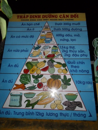Ernährungspyramide in Vietnam – Foodkomm